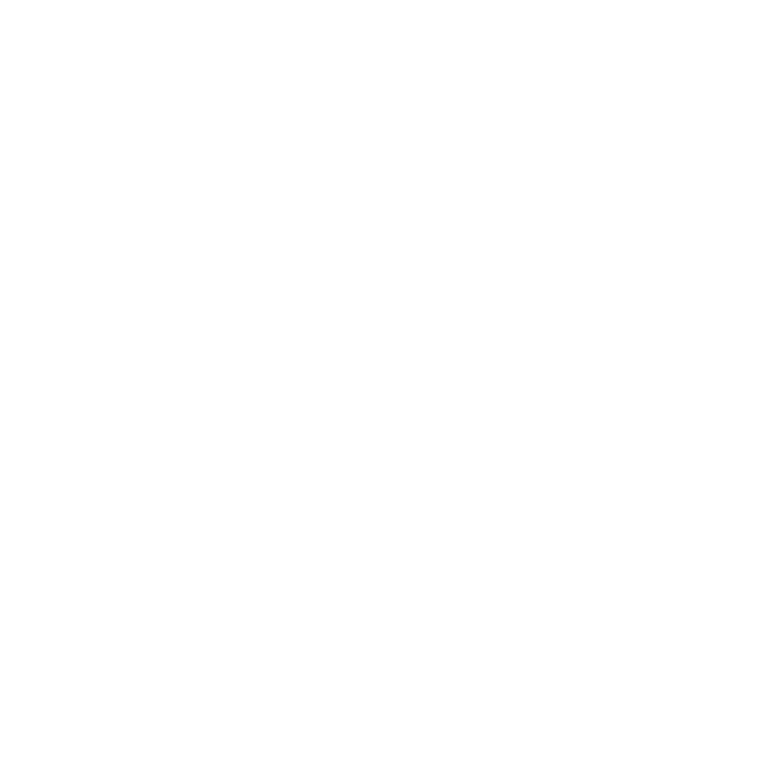 Our Work – Soul Reborn